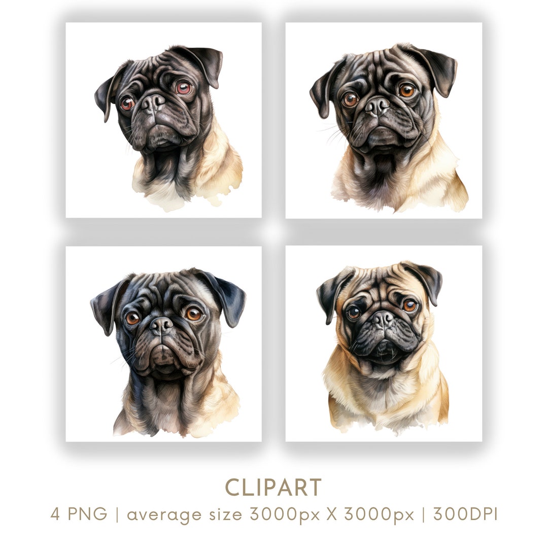 Pug Watercolor Dog Clipart PNG Set 4, Pet Portrait Clipart Commercial ...