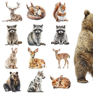 Woodland Christmas Clipart, Watercolor Winter PNG, Forest Xmas Animals ...