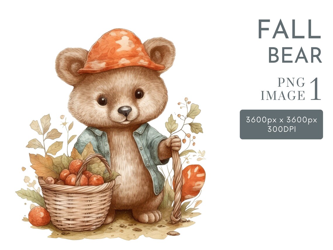 Fall Bear Watercolor Clipart PNG Forest Animals Clipart - Etsy