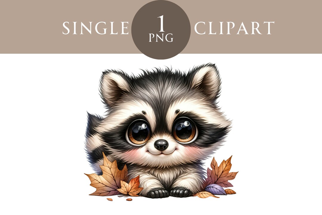 Raccoon Clipart, Cute Woodland Animal Wall Art PNG, Baby Raccoon ...