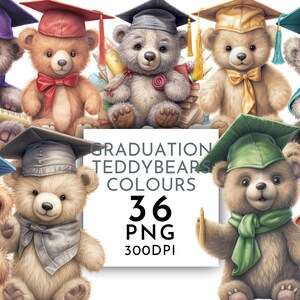Graduation Teddy Bears Watercolor Clipart PNG Bundle , Coloured ...