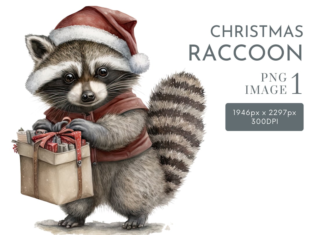 Christmas Raccoon Watercolor Clipart PNG, Forest Animals Clipart ...