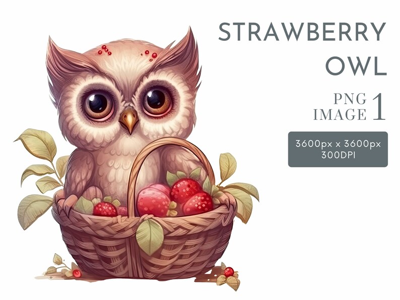 Strawberry Owl Watercolor Clipart PNG Forest Animals Clipart - Etsy