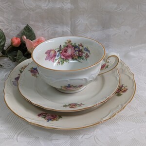 Vintage Zeh Scherzer Porcelain Tea Set.trio Zeh Scherzer Bavarian ...