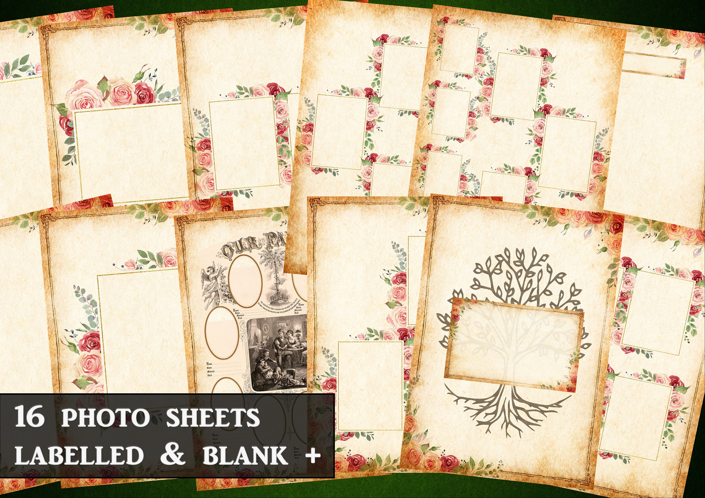 Genealogy Forms: 200+ Auburn Rose Templates (PDF) - Etsy