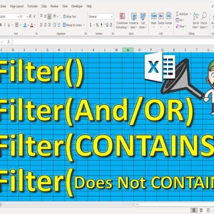 Filter Function in Excel - Including And/or/contains/does NOT Contain - Etsy Australia