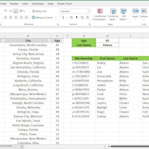 Filter Function in Excel - Including And/or/contains/does NOT Contain ...