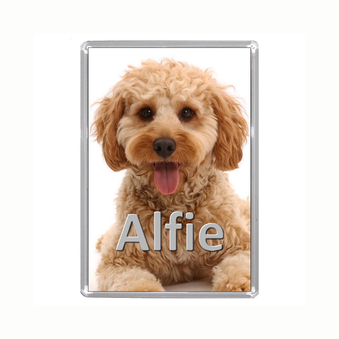Personalised COCKAPOO Dog Jumbo Fridge Magnet/refrigerator Magnet ...