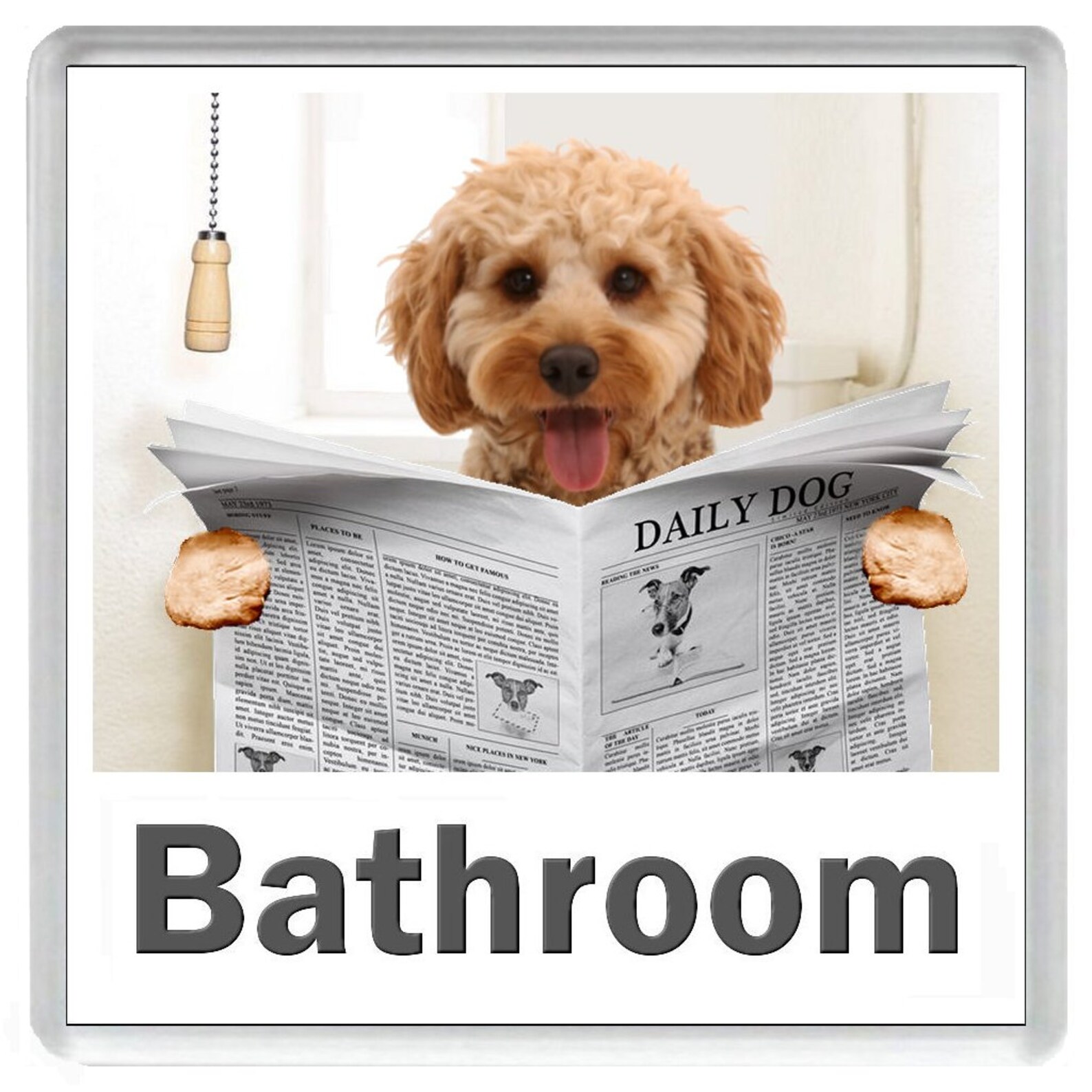 COCKAPOO Reading A Newspaper on the Loo Novelty Acrylic Toilet/bathroom ...