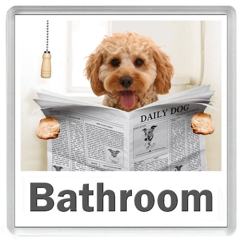 COCKAPOO Reading A Newspaper on the Loo Novelty Acrylic Toilet/bathroom ...