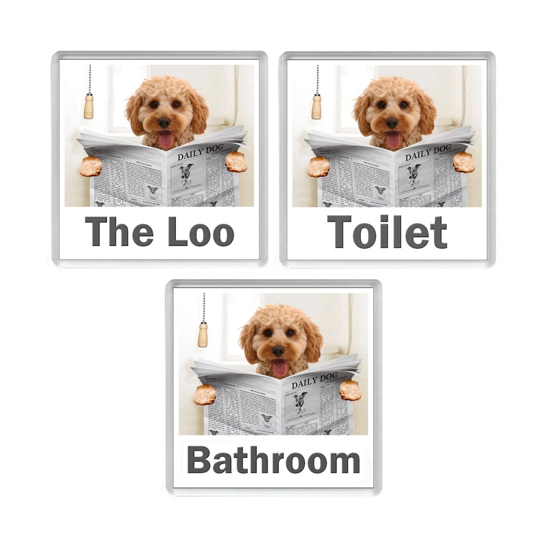 COCKAPOO Reading A Newspaper on the Loo Novelty Acrylic Toilet/bathroom ...
