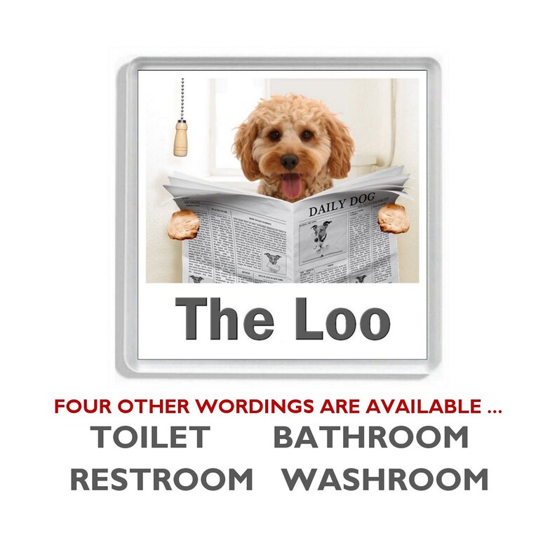 COCKAPOO Reading A Newspaper on the Loo Novelty Acrylic Toilet/bathroom ...