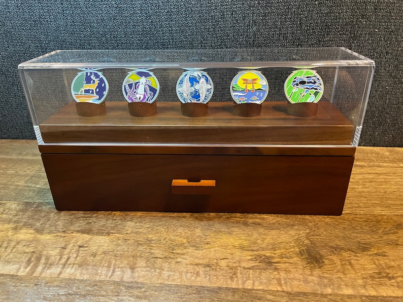 Sobriety Chip One Month Sober - Etsy