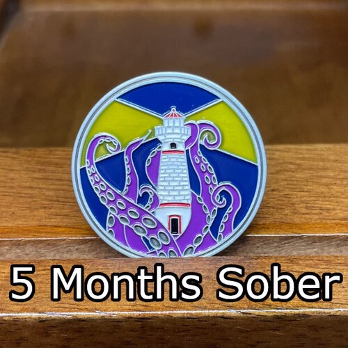 Sobriety Chip Five Months Sober - Etsy