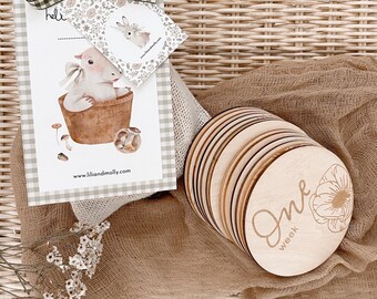 Baby Birth Announcement Wood Discs Milestone Card Hello World Sign ...