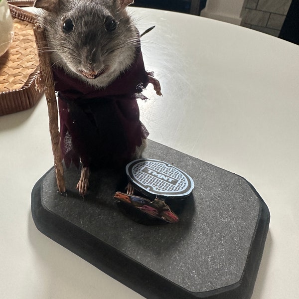 Master Splinter - Etsy