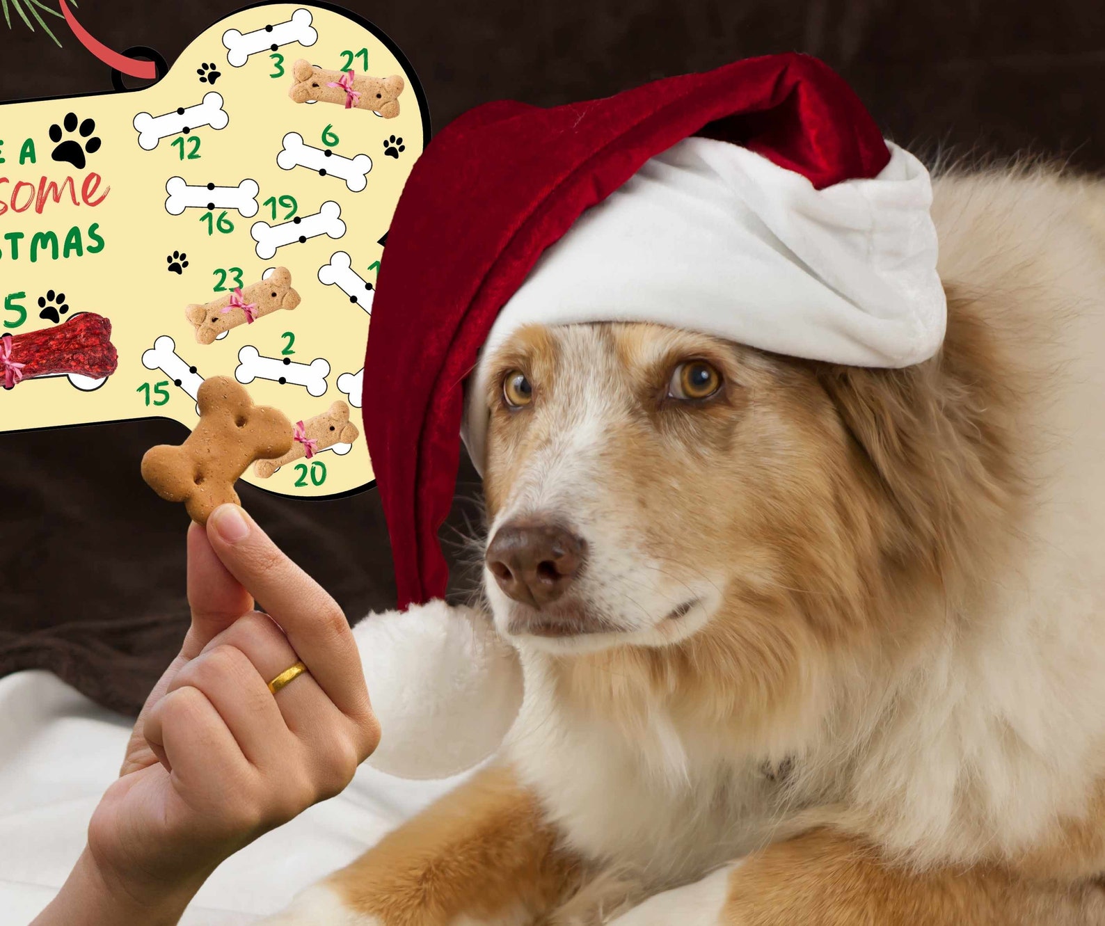 Dog Advent Calendar Png, Christmas Pet Calendar Printable Svg - Instant ...