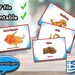 HOUSEHOLD PETS GREEK - 11 Hand Drawn Flashcards for Learning Greek ...