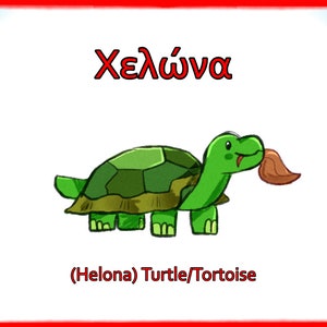 HOUSEHOLD PETS GREEK - 11 Hand Drawn Flashcards for Learning Greek ...