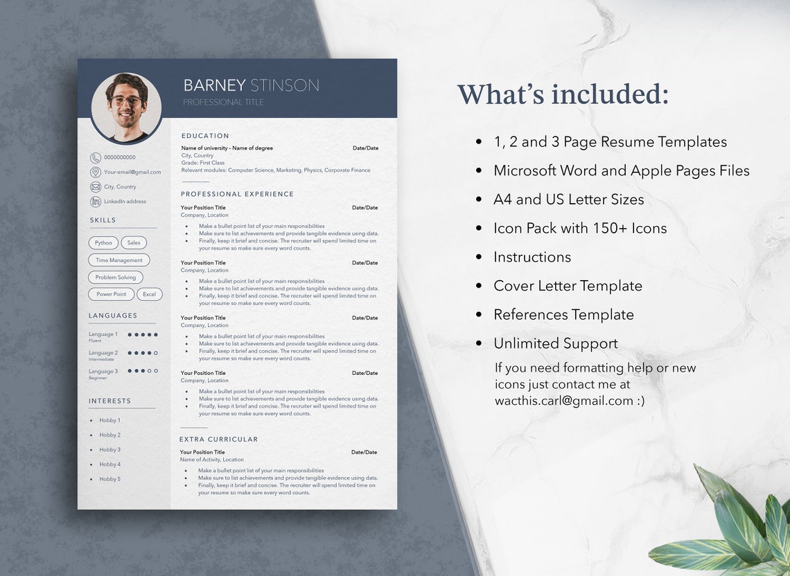 Resume Template, CV Template, Professional Resume Template for Word ...