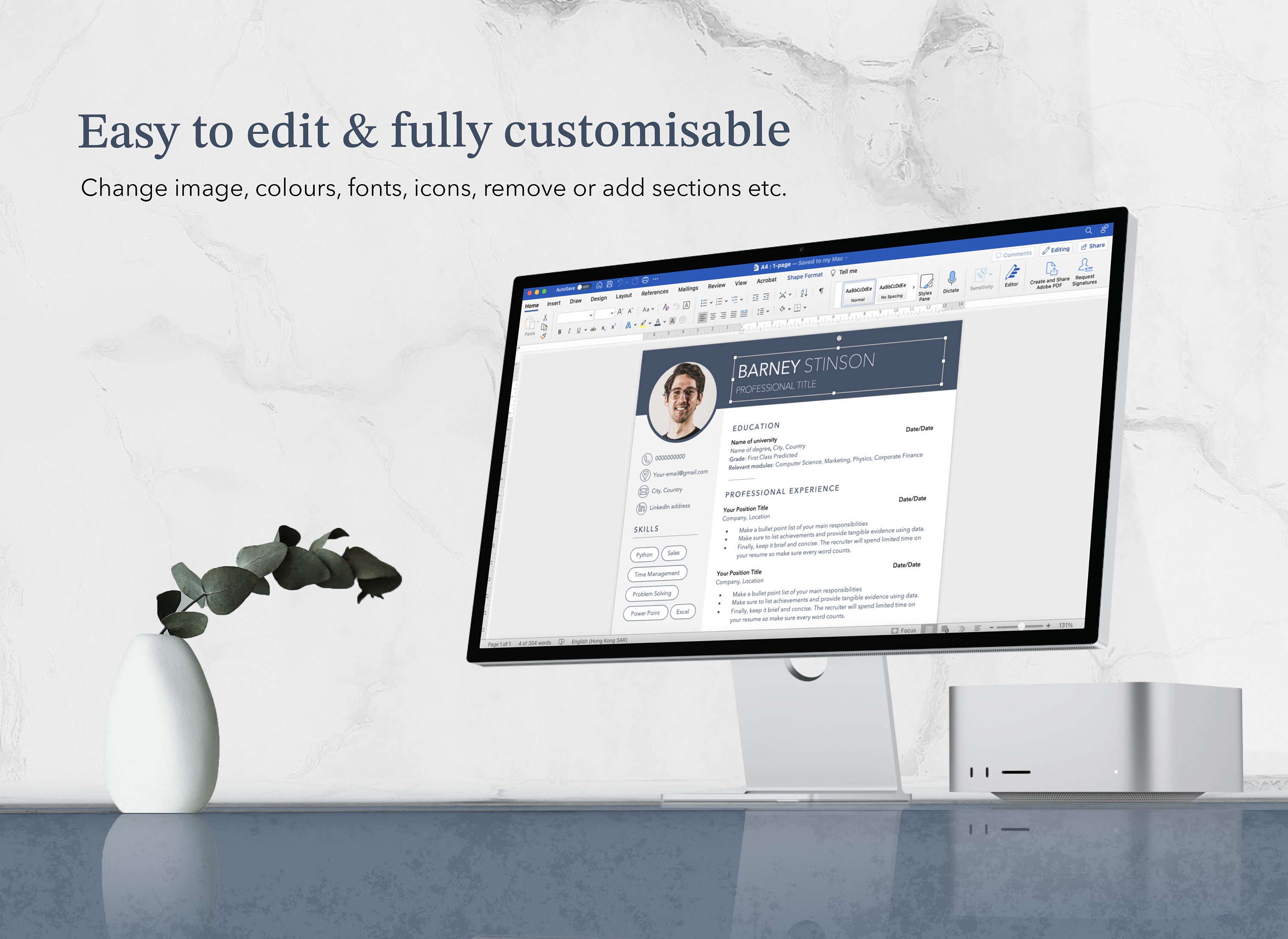 Resume Template, CV Template, Professional Resume Template for Word ...