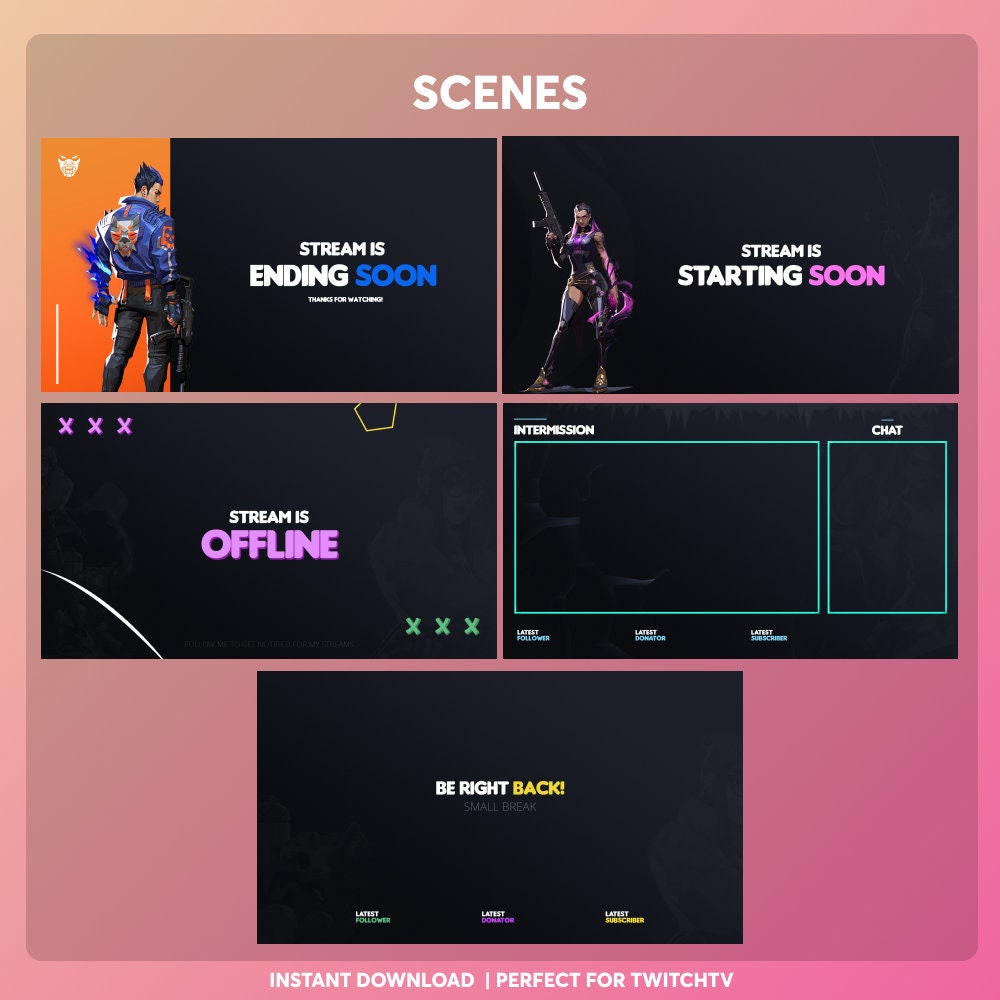 Complete Valorant Stream Graphic Package 5 Emotes 6 Badges 15 Panels 5 ...