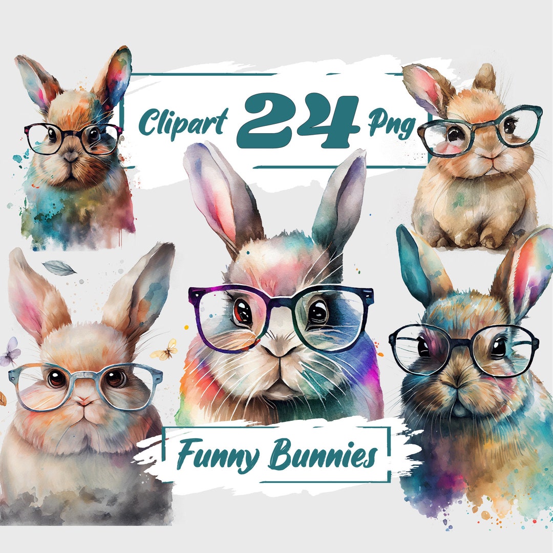 Funny Bunny Design Bundle, Funny Rabbit Illustration Bundle, Cute ...