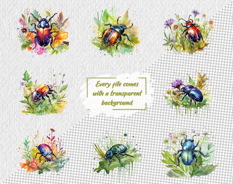 Watercolor Beetles Clipart Bug Clip Art Cute Beetle Clip - Etsy