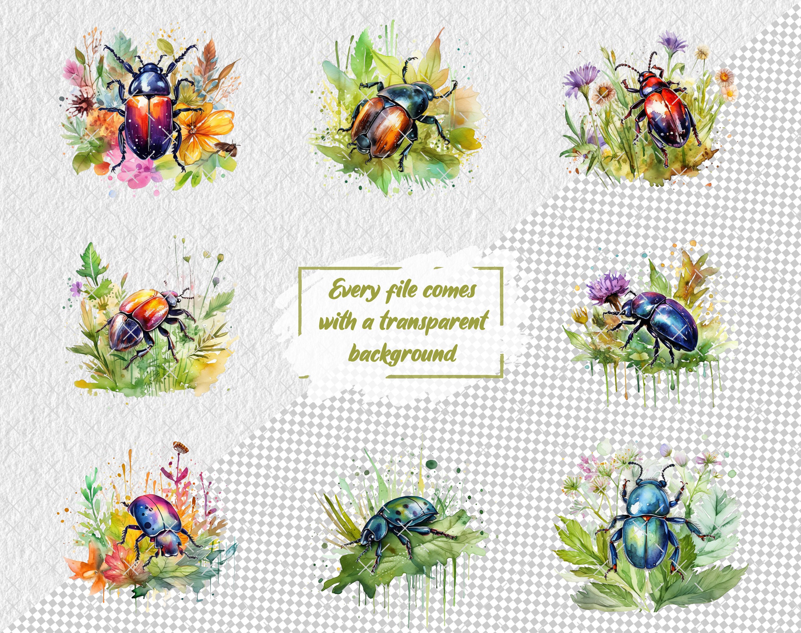 Watercolor Beetles Clipart Bug Clip Art Cute Beetle Clip - Etsy Australia