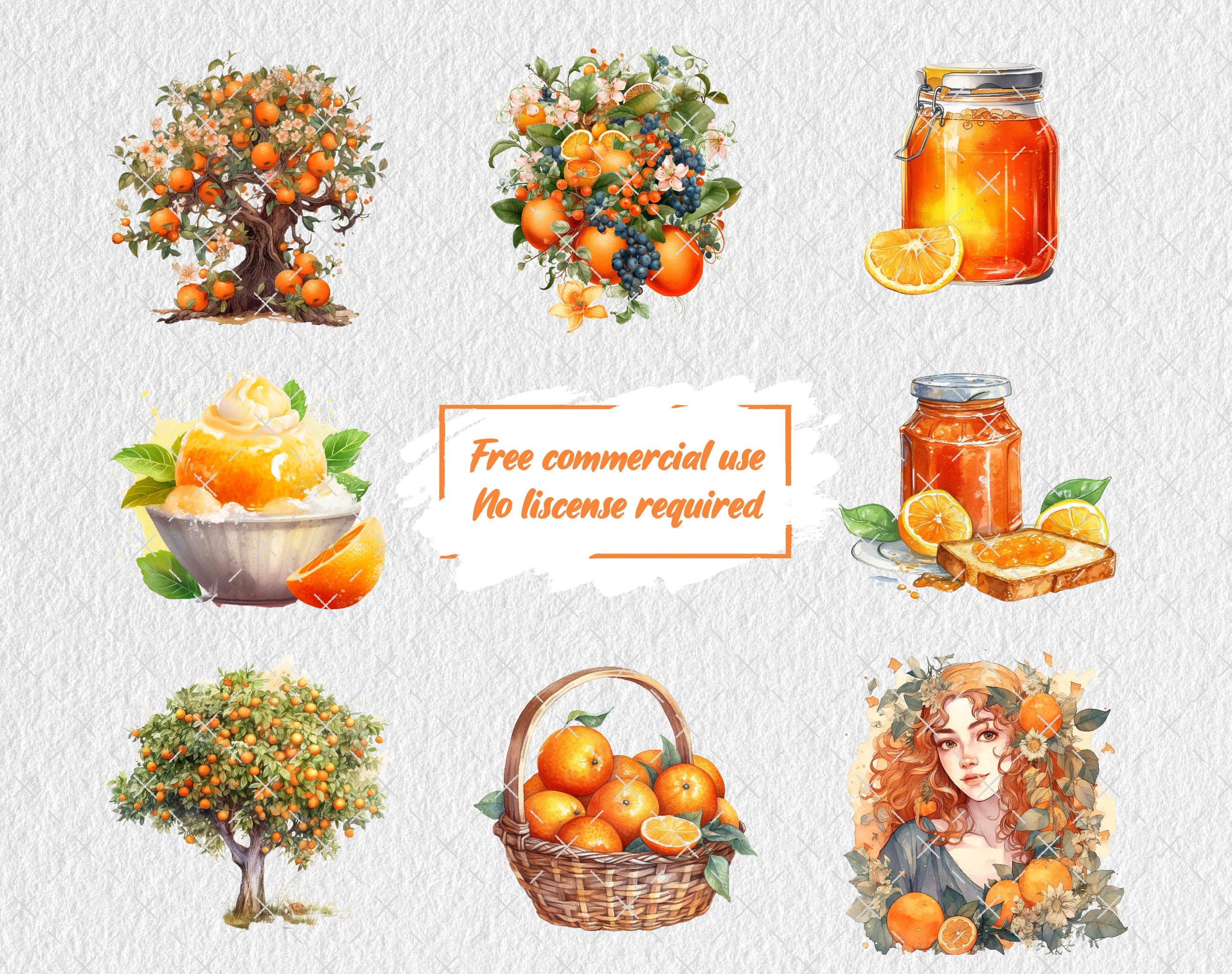Watercolor Orange Clipart Citrus Fruit Clipart Orange PNG Bundle Summer ...