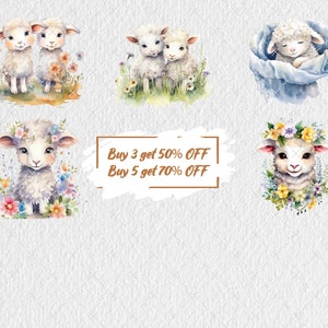 Watercolor Baby Sheep Clipart Cute Sheep Clipart Watercolor Sheep Png ...