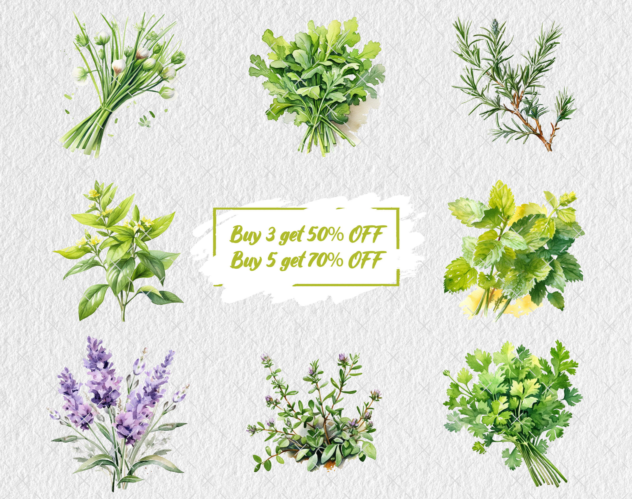 Watercolor Herbs Clipart Herbal Clipart PNG Herbs PNG - Etsy