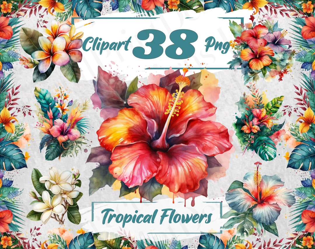 Watercolor Tropical Flowers Clipart Tropical Flowers Bundle Summer ...