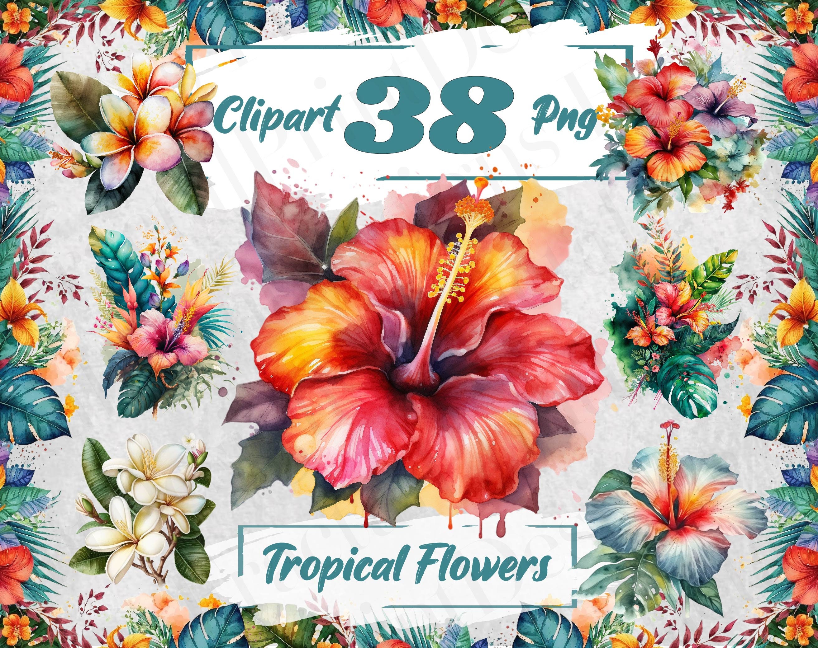 Summer Flowers Clipart Free
