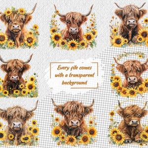 Watercolor Sunflower Highland Cows Clipart, PNG Sunflowers Clipart ...