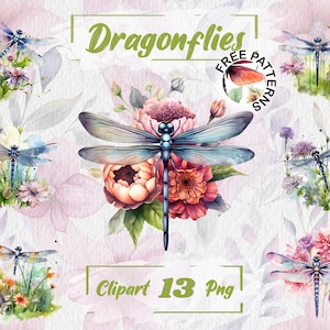 Watercolor Dragonfly Clipart, Bug Clip Art Cute Dragonfly Clip Art ...