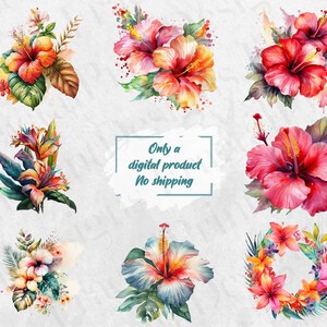 Watercolor Tropical Flowers Clipart Tropical Flowers Bundle Summer ...
