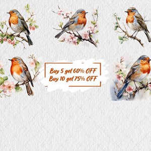 Spring Robin Clipart, Watercolor Robin Clipart, Red Robin Clipart ...