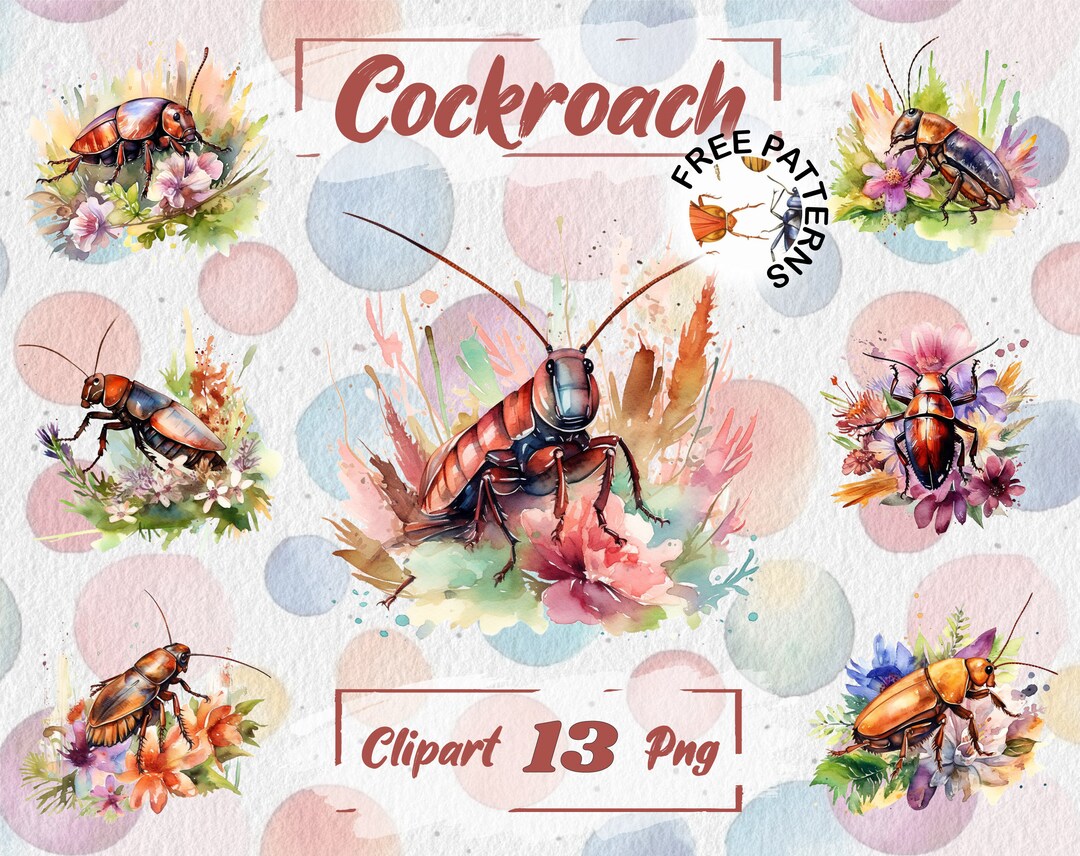 Watercolor Cockroach Clipart Bug Clip Art Insects Clip Art - Etsy