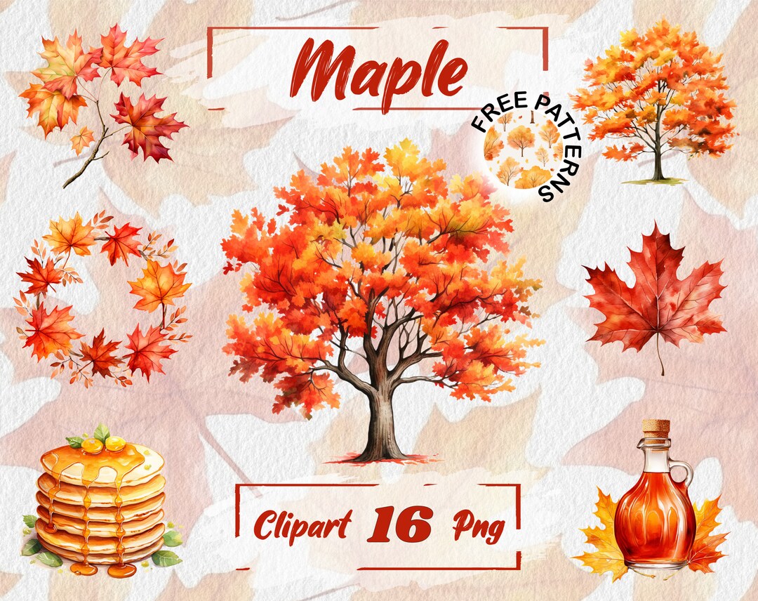 Watercolor Maple Clipart Autumn Clipart Autumn Trees PNG Fall Flowers ...