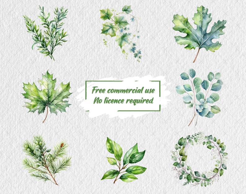 Watercolor Leaves and Branches Leaf Clipart PNG Eucalyptus - Etsy