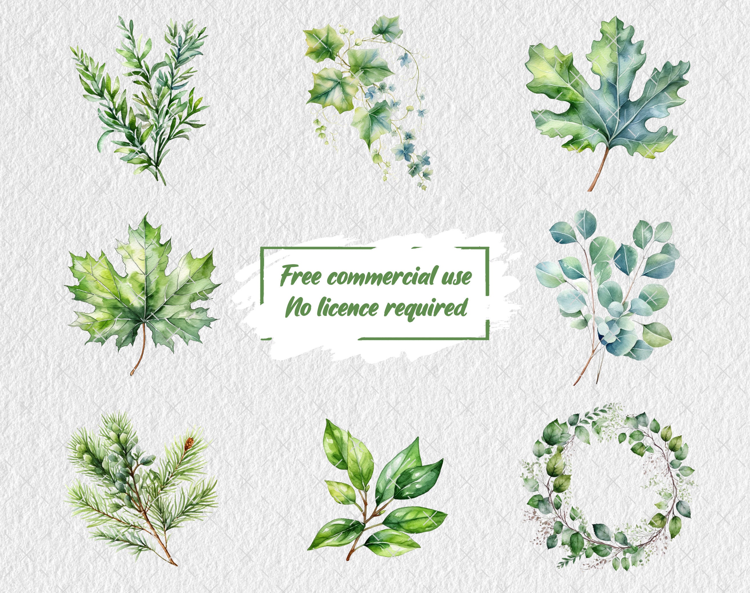 Watercolor Leaves and Branches Leaf Clipart PNG Eucalyptus - Etsy