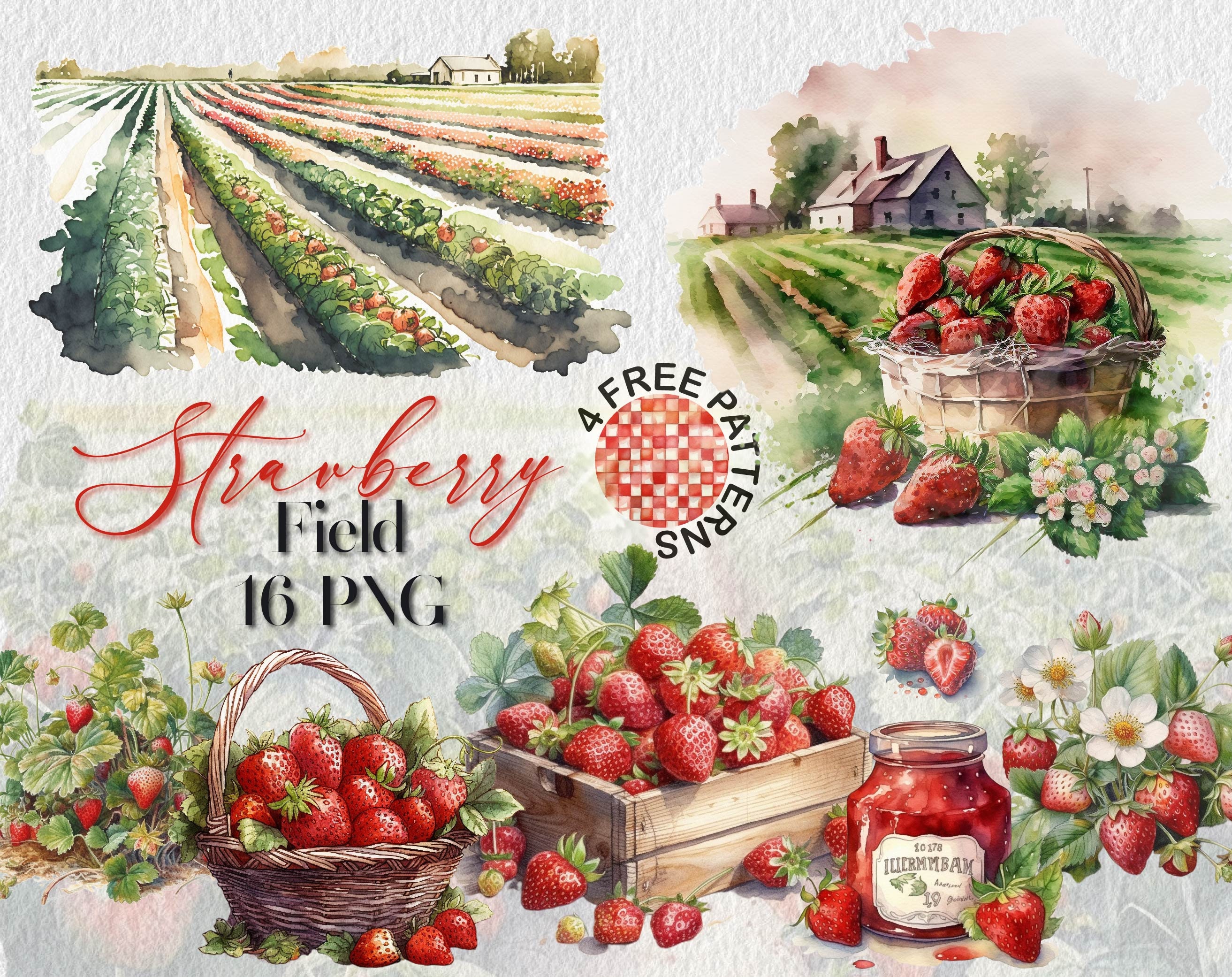 Strawberry Field Clipart Watercolor Strawberrystrawberry PNG - Etsy