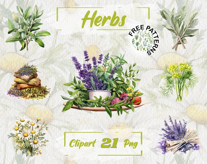 Watercolor Herbs Clipart Herbal Clipart PNG Herbs PNG Kitchen - Etsy