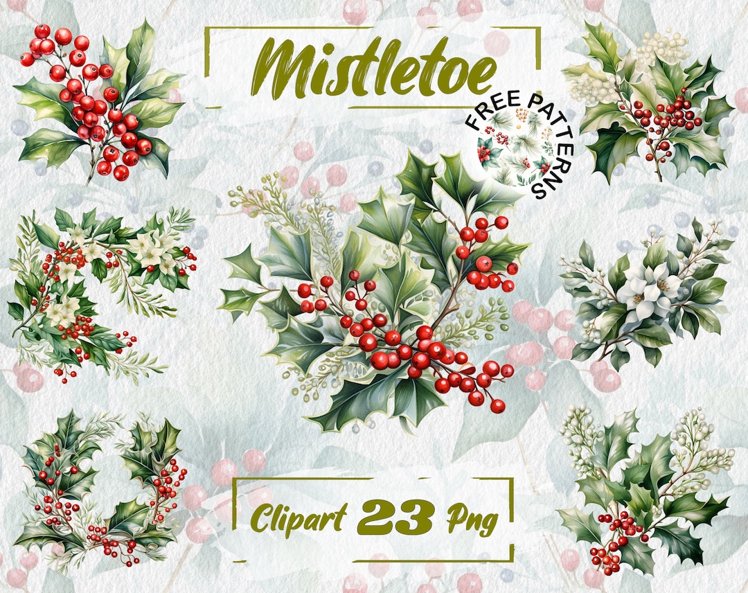 Mistletoe Clipart, Watercolor Christmas Graphics, Transparent Images ...