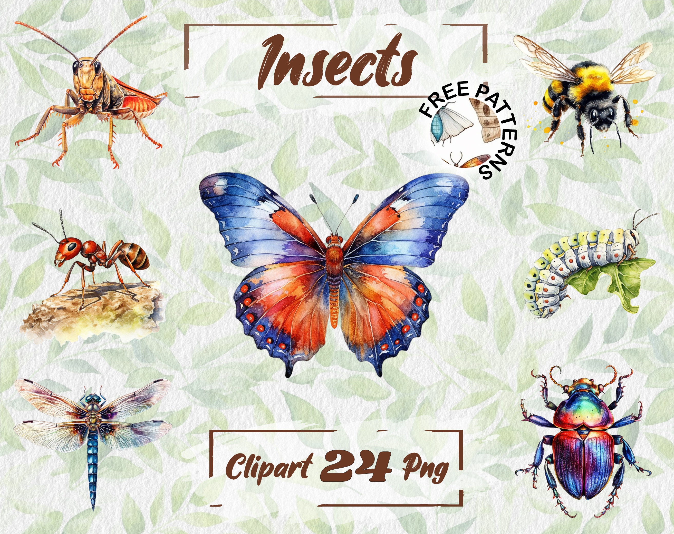 Watercolor Insects Clipart Bug Clip Art Wasp Clip Art - Etsy