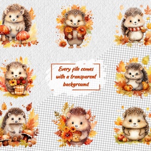 Watercolor Fall Hedgehog Clipart Cute Hedgehog Clipart Autumn Leaves ...