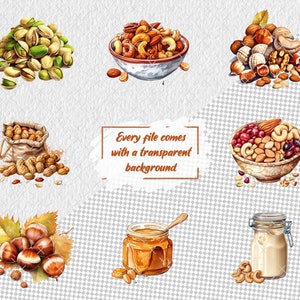 Watercolor Nuts Clipart Nuts Bundle Wallnut PNG Almond PNG Nuts Clipart ...