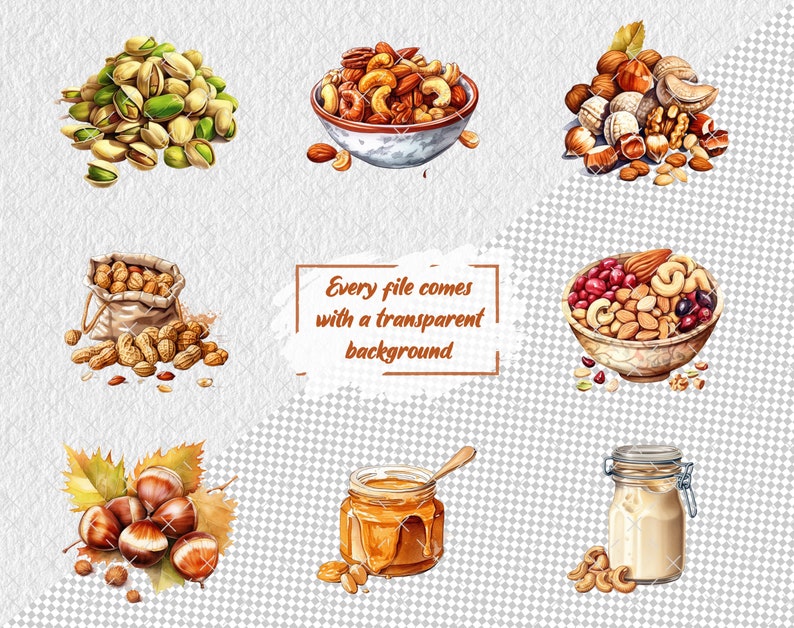 Watercolor Nuts Clipart Nuts Bundle Wallnut PNG Almond PNG Nuts Clipart ...