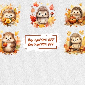 Watercolor Fall Hedgehog Clipart Cute Hedgehog Clipart Autumn Leaves ...